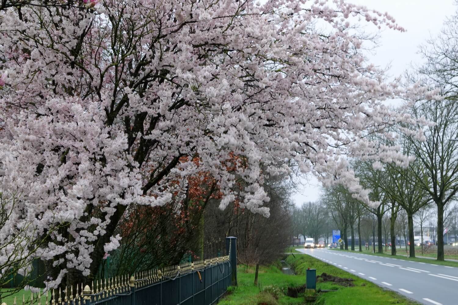 15-daagse gladheid: astronomische lente zacht van start gegaan