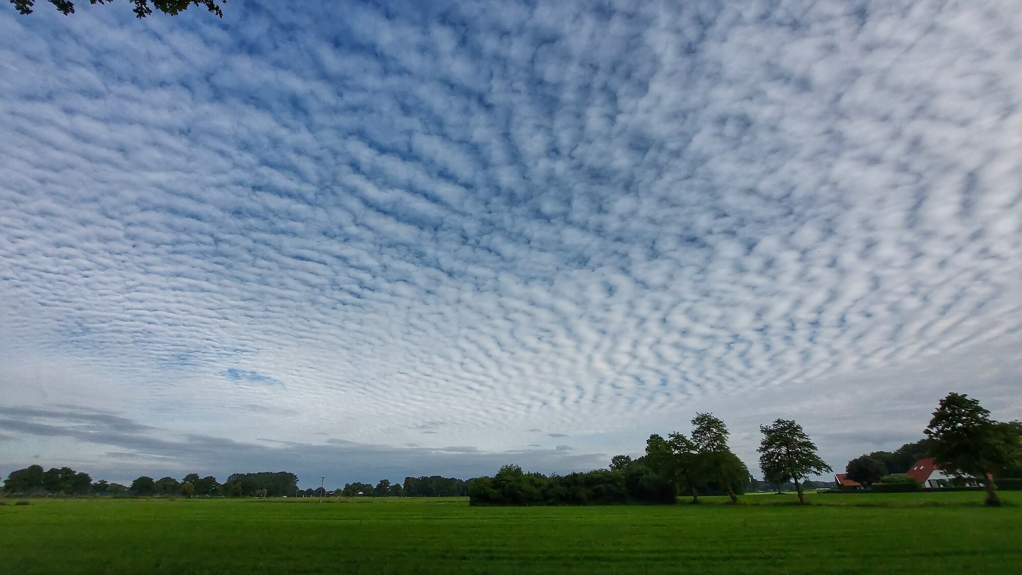 Wolkenherkenning: het herkennen van opbollende wolken: van de ...