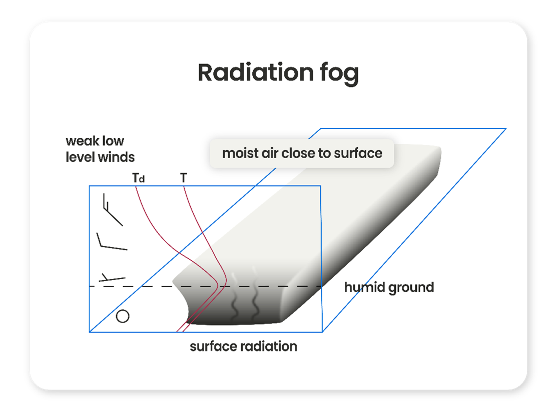 The sea clouds that affect operations the most: sea fog