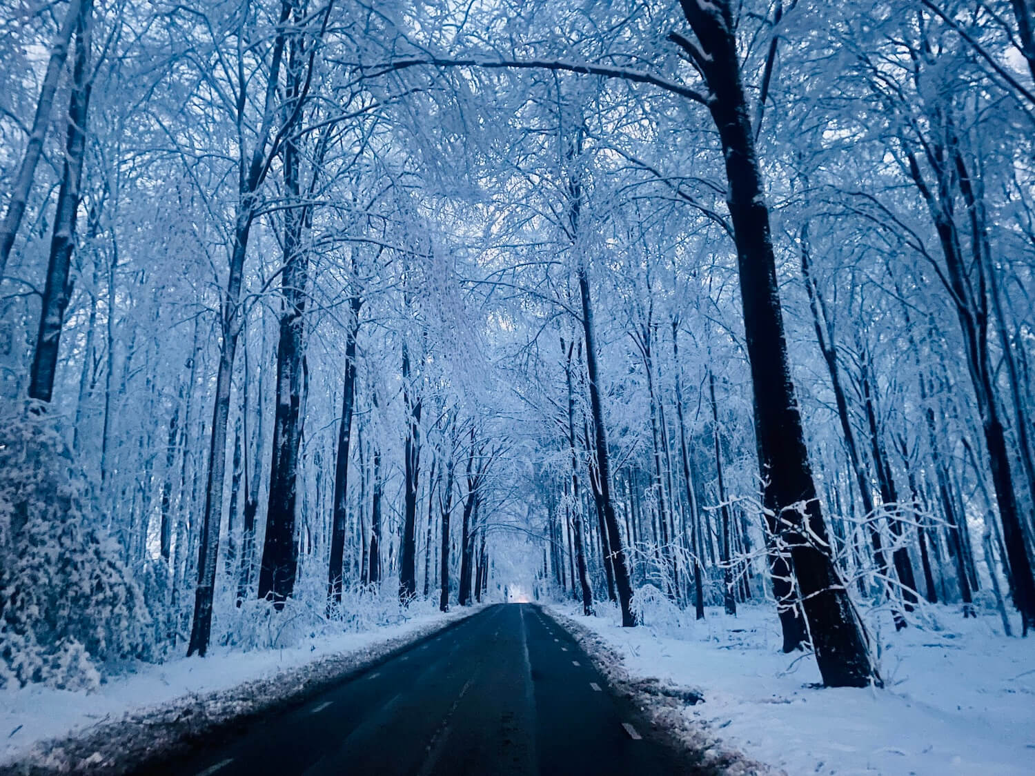 Luchtsoorten en hun invloed op het winterweer in Nederland